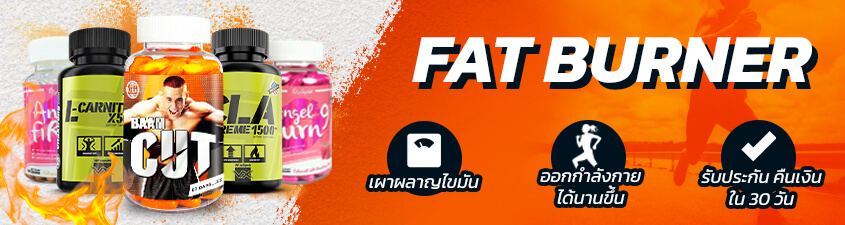 แฟตเบิร์นเผาผลาญไขมัน Fat Burn ผลิตภัณฑ์เผาผลาญไขมัน - Fitwhey