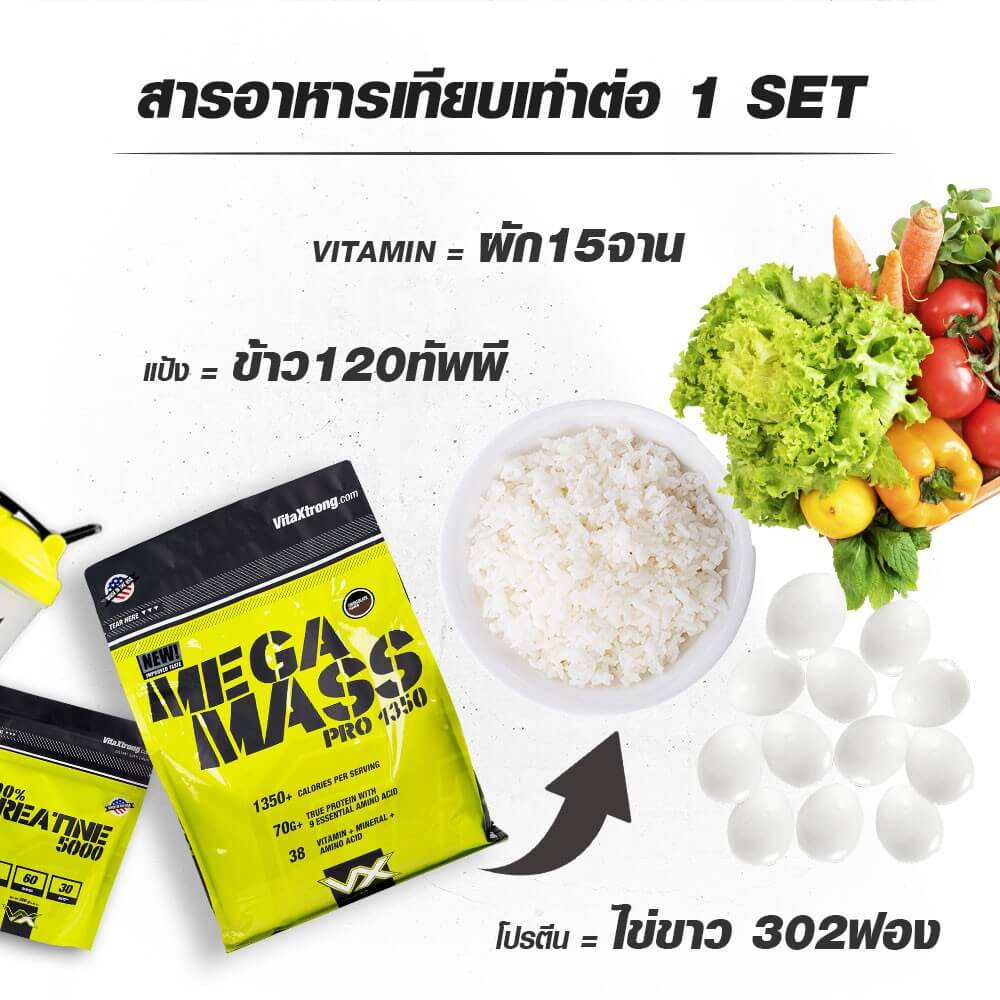 MEGA MASS PRO 1350 เกนเนอร์เพิ่มน้ำหนัก