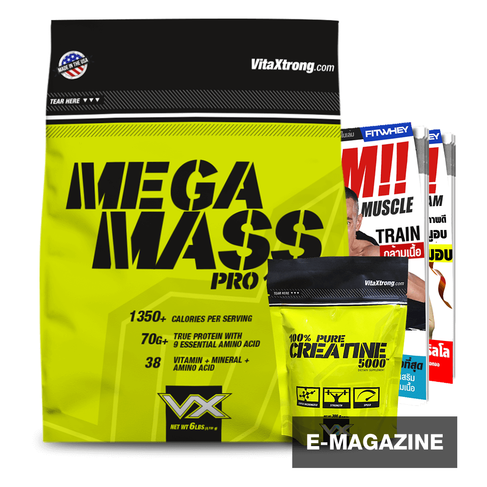 MEGA MASS XTREME 1350