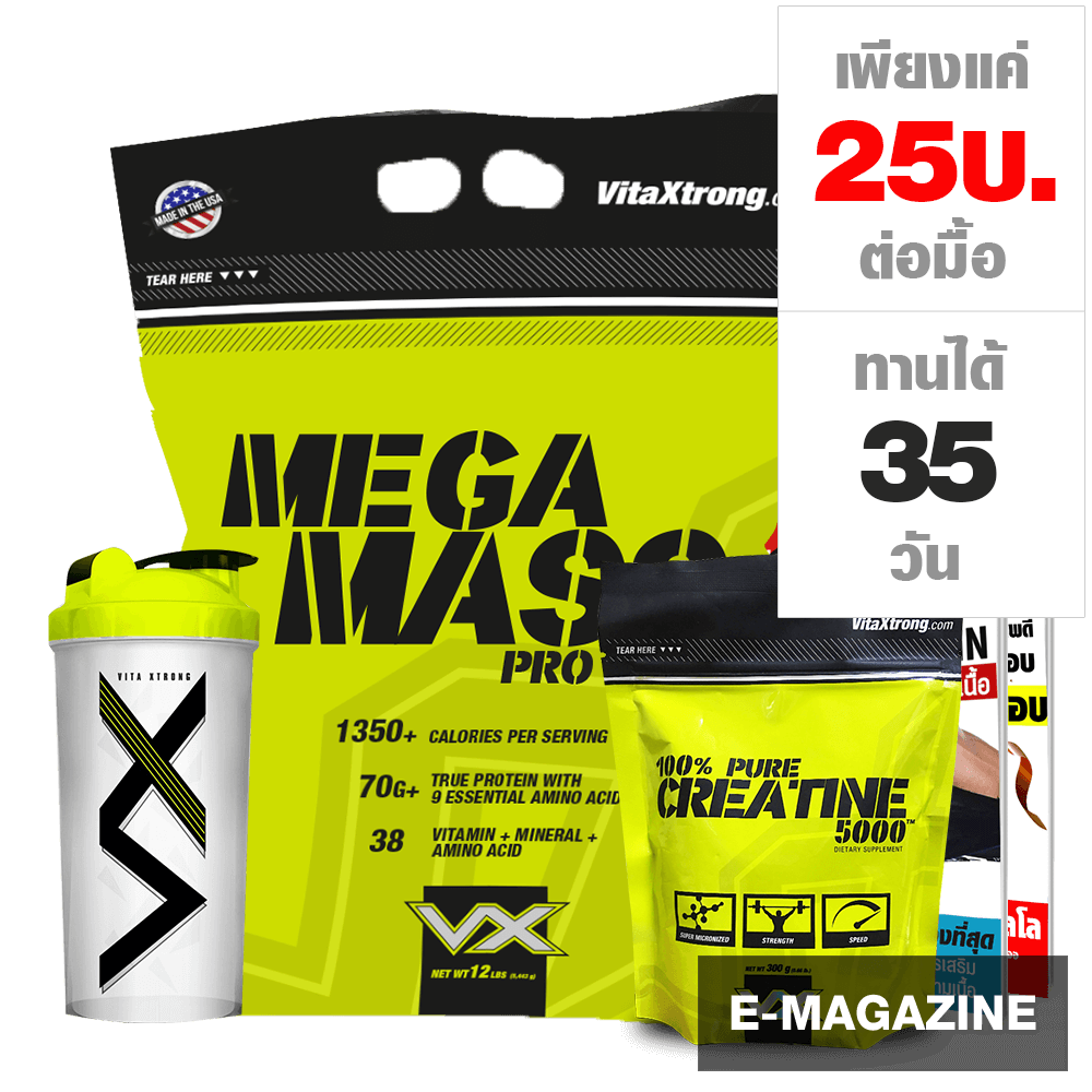 MEGA MASS PRO 1350